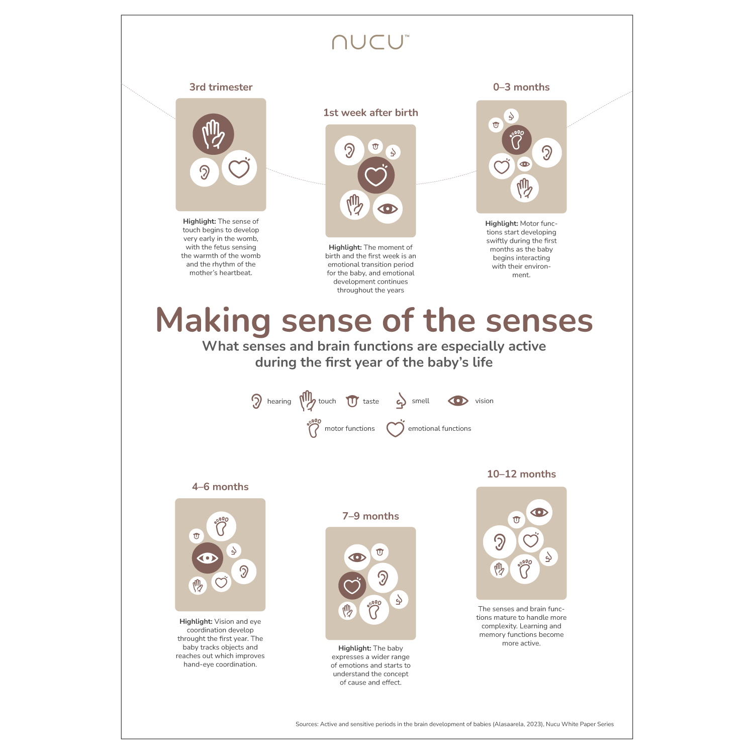 Making sense of the senses – baby development infographic – Nucu