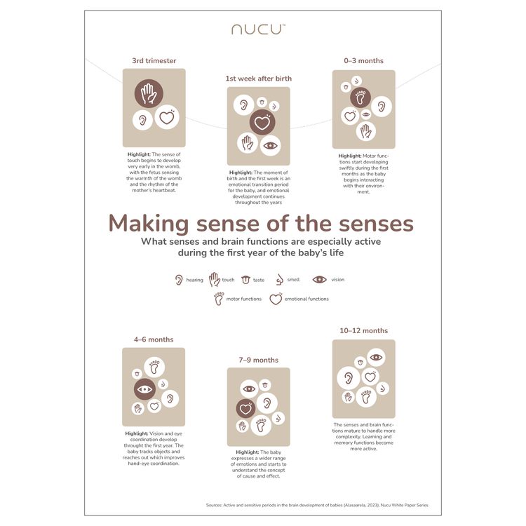 Making sense of the senses – baby development infographic – Nucu